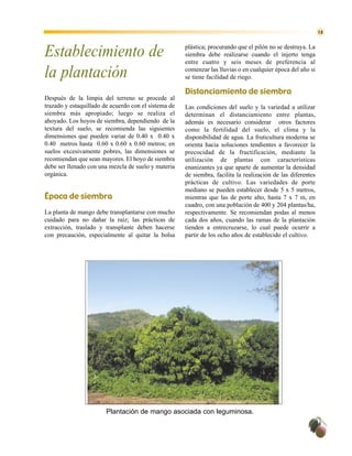Guia mango | PDF