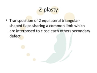 Zplasty | PPT