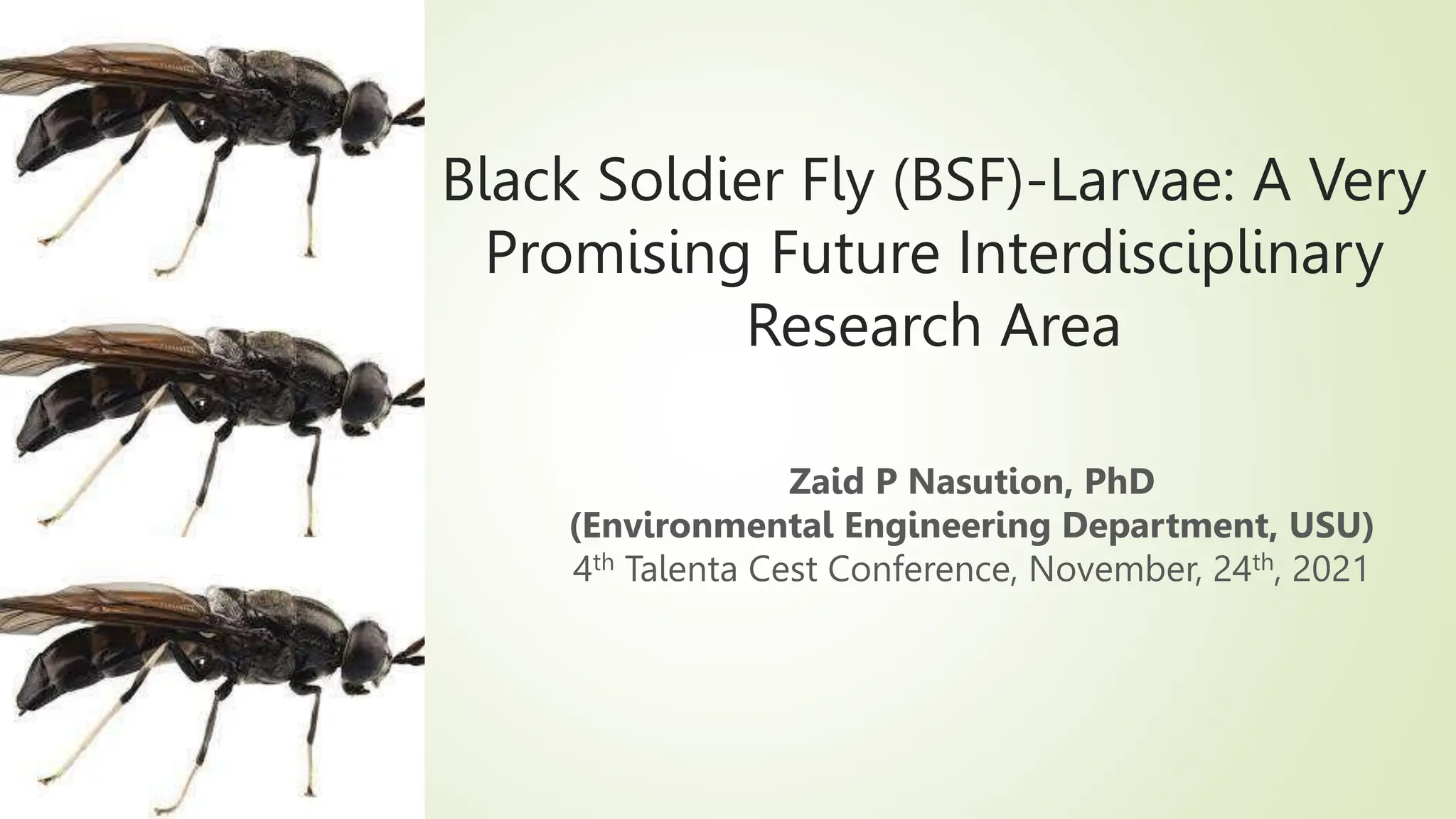 ZPN-Talenta Cest_BSF-L_a Promising Future Interdisciplanary Research ...