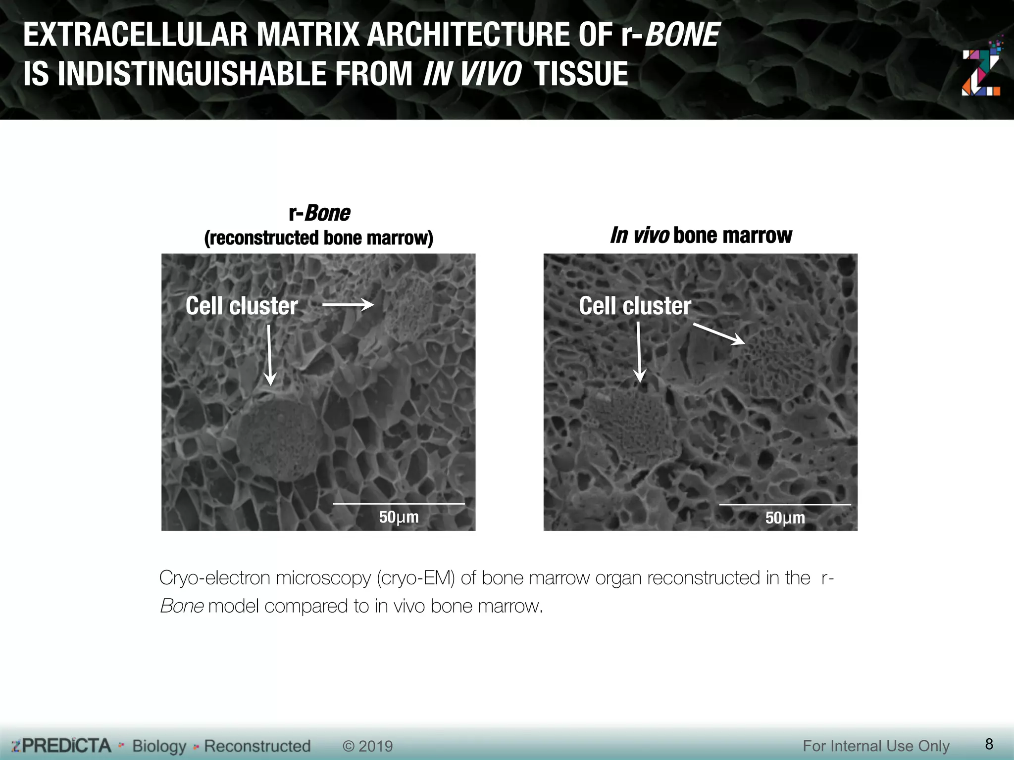 zPREDICTA Disease Models | PDF