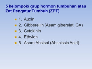 ZPT_Hormon tumbuhan_Fitohormon_pakai 2018-2019.pdf