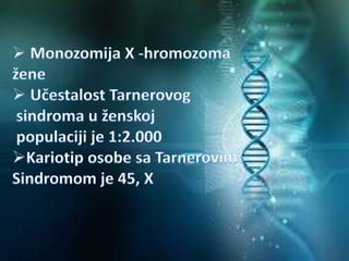 New microsoft office power point presentation (2) | PPT