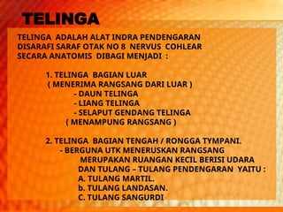 SISTEM_PANCA_INDRA_ANATOMI.ppt kedokteran | PPT