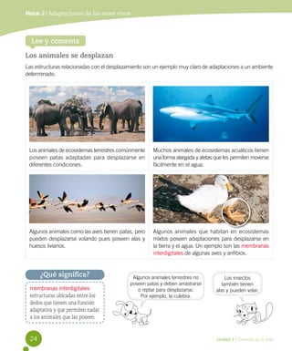 Ciencias4 | PDF
