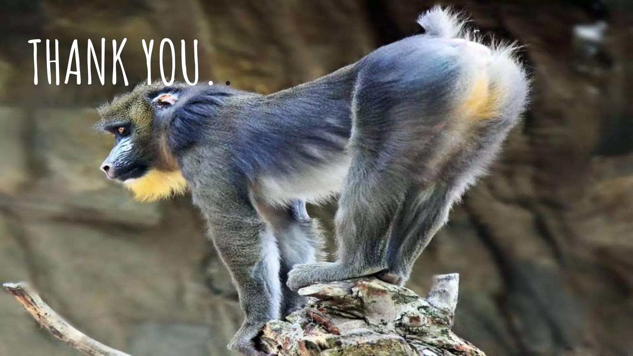 OVERVIEW: WILDLIFE PROTECTION ACT, 1972. | PPTX