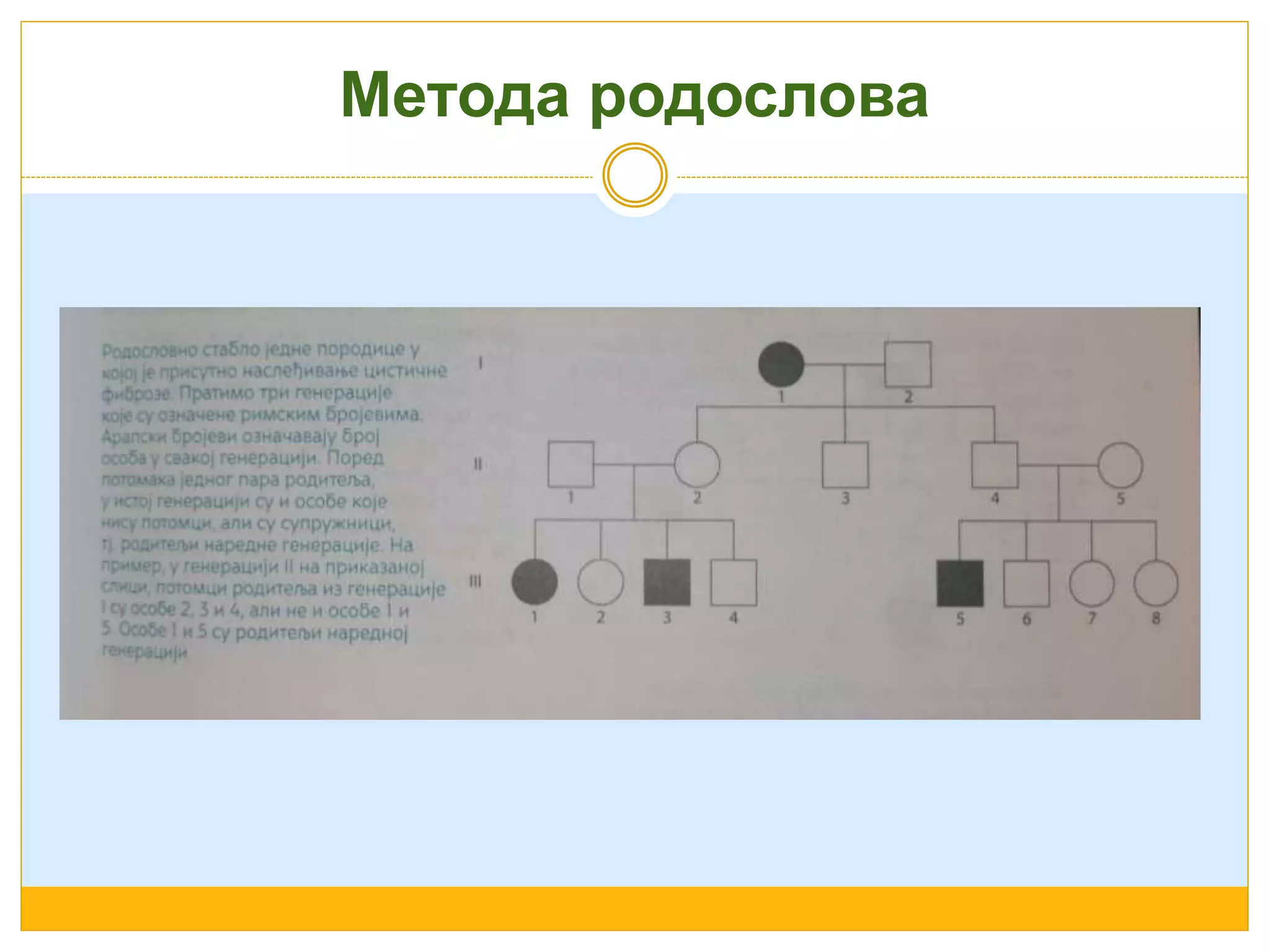 Humana genetika, rodoslovno_stablo | PPTX