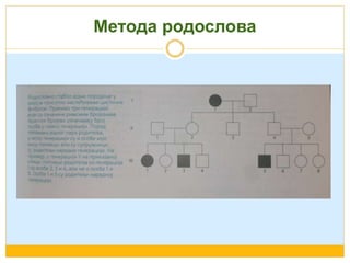 Humana genetika, rodoslovno_stablo | PPTX
