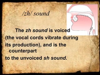Sounds of Letter Z | PPTX