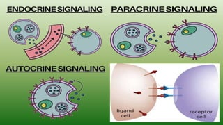 Receptor-1-1.pptx msc 2nd sem.................. | PPT