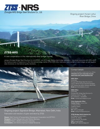 ZTSS-NRS Bridge D&E 2Q2012 Michael Machnik | PDF