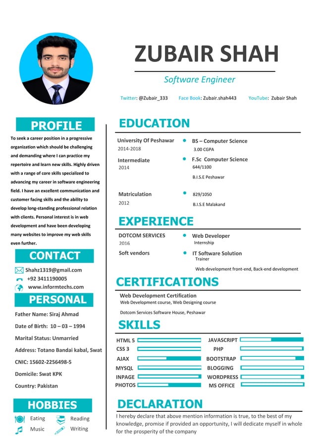 Zubair cv | PDF