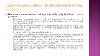kidney - ADAPTIVE CHANGES OF KIDNEY IN KIDNEY DISEASES | PPTX
