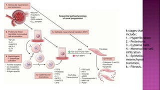 kidney - ADAPTIVE CHANGES OF KIDNEY IN KIDNEY DISEASES | PPTX