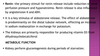 kidney - ADAPTIVE CHANGES OF KIDNEY IN KIDNEY DISEASES | PPTX