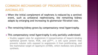 kidney - ADAPTIVE CHANGES OF KIDNEY IN KIDNEY DISEASES | PPTX