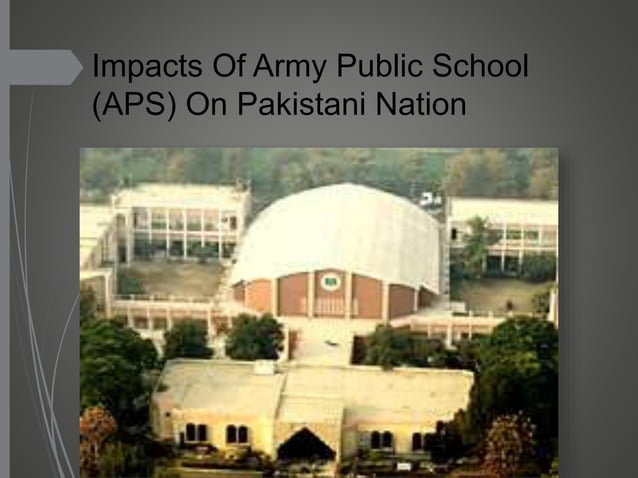Impacts Of APS Attack | PPT