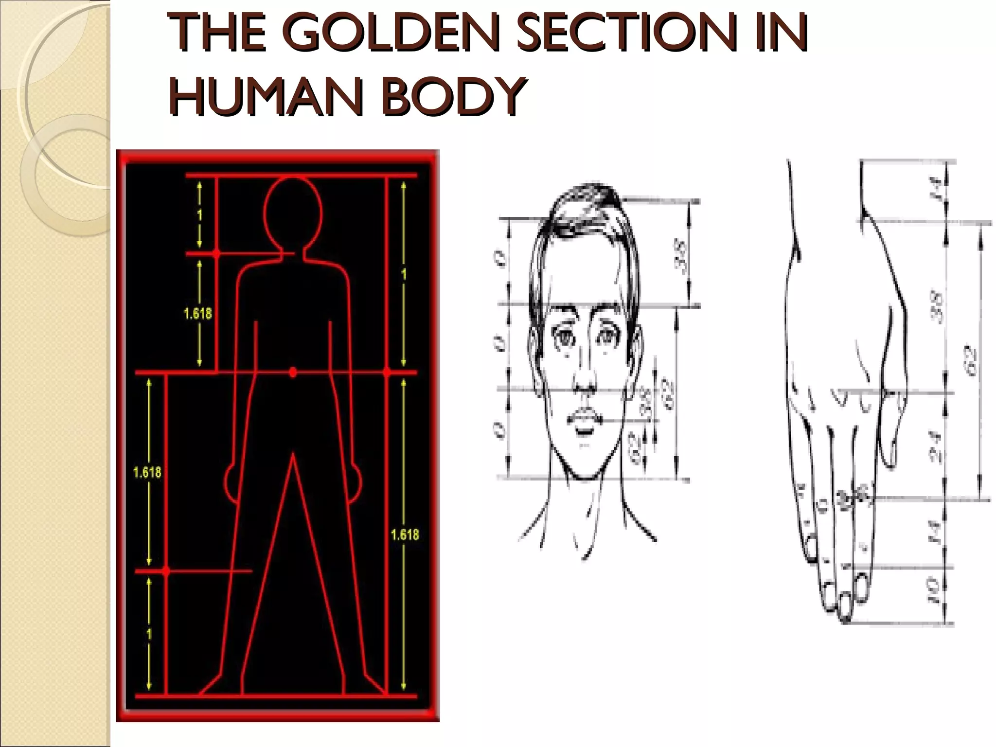 golden section | PPT
