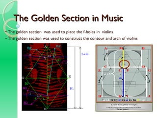 golden section | PPT