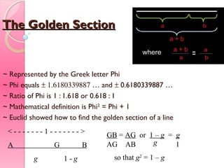 golden section | PPT