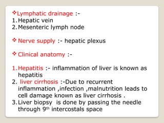 The human liver function & structure.pptx