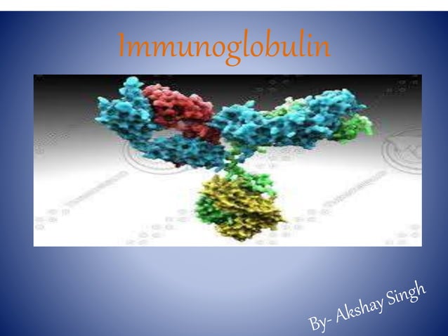 Immunoglobulin ppt | PPT
