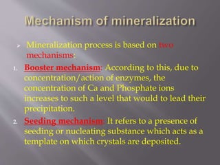 Theories Of Mineralization | PPT