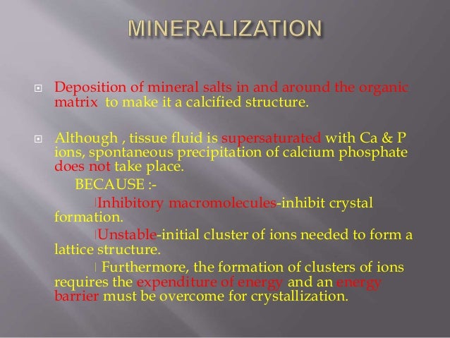 Theories Of Mineralization