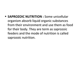 nutrition basics | PPT