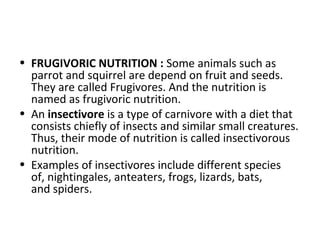 nutrition basics | PPT