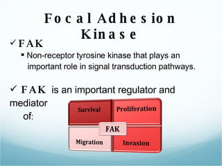 Novel Tyrosine Kinase Inhibitors for Ovarian Cancer | PPT