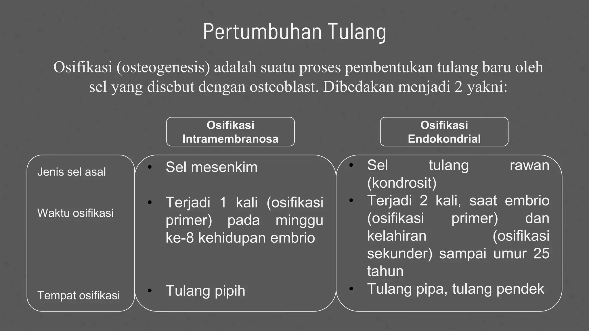 Zulfatul Aliyah_Sistem Rangka Biologi SMA Kelas XI.pptx