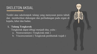 Zulfatul Aliyah_Sistem Rangka Biologi SMA Kelas XI.pptx