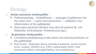 TG 2018 Acute Cholecystitis | PDF