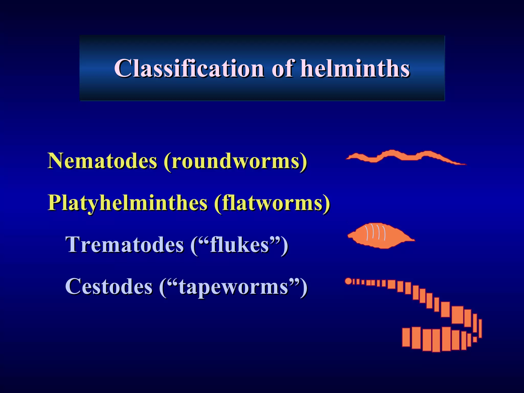 helminthic infection | PPT