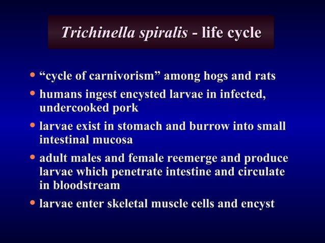 helminthic infection | PPT