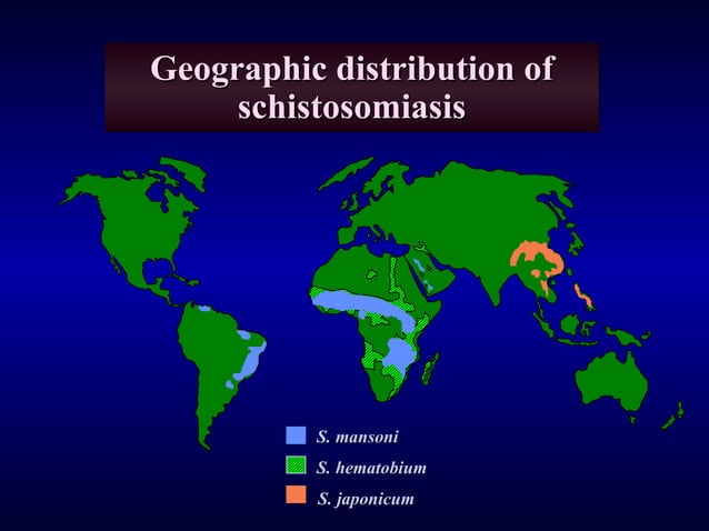 helminthic infection | PPT