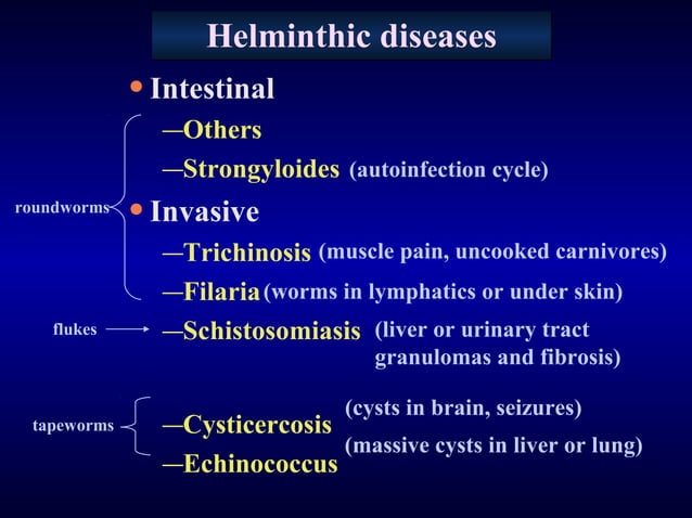 helminthic infection | PPT