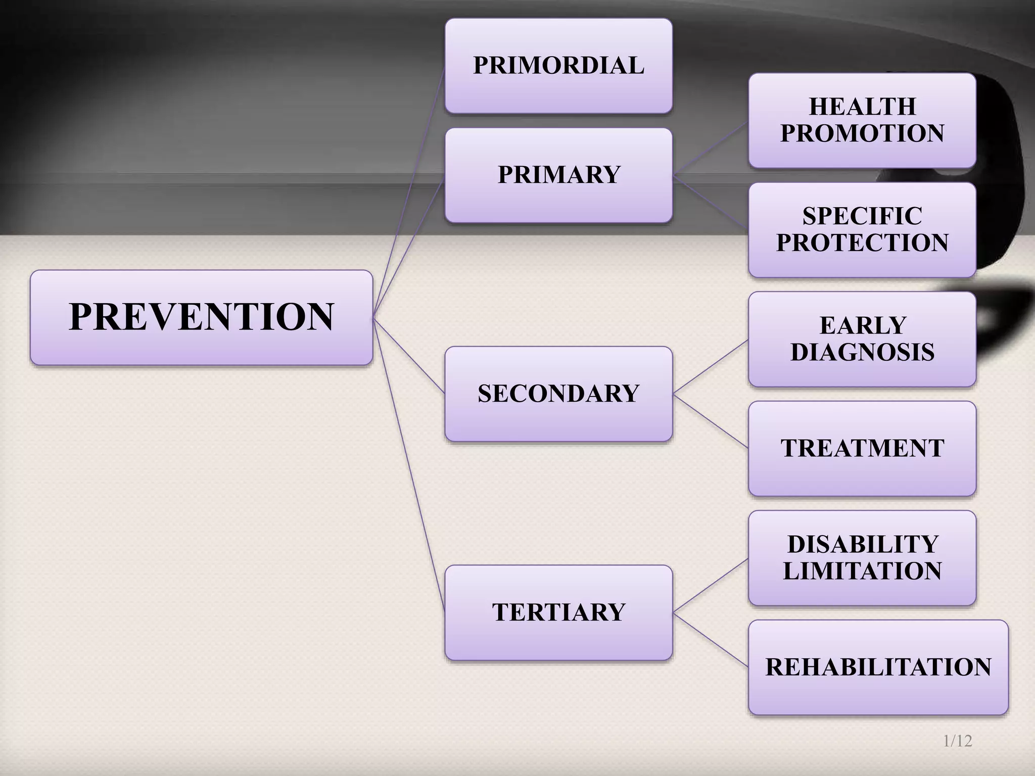 Mental Illness Prevention and Control | PPTX