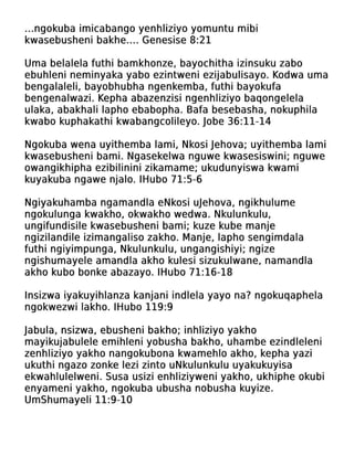 Zulu - Youth Christian Tract.pdf