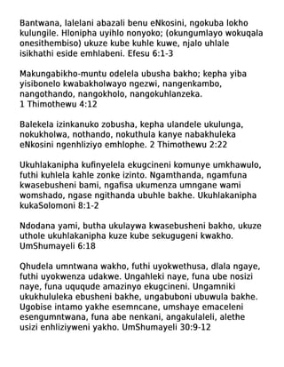 Zulu - Youth Christian Tract.pdf