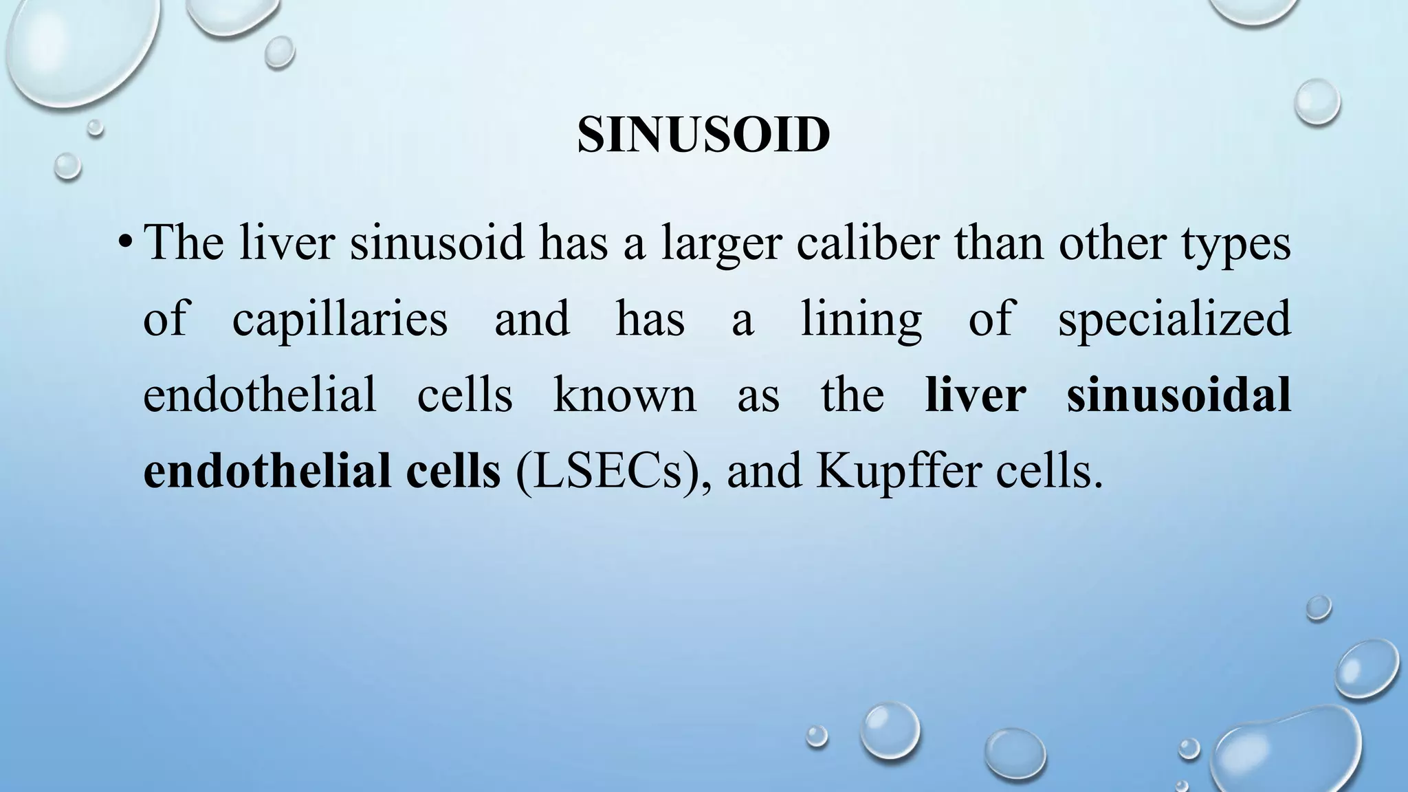 IMPORTANCE OF LIVER IN ANIMALS | PPTX