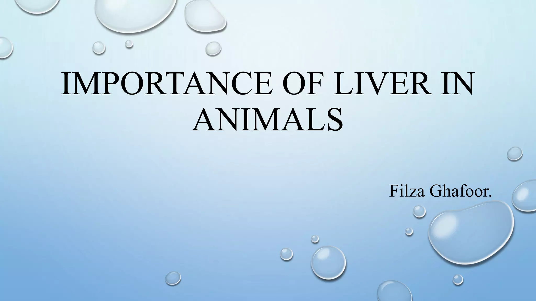 IMPORTANCE OF LIVER IN ANIMALS | PPTX