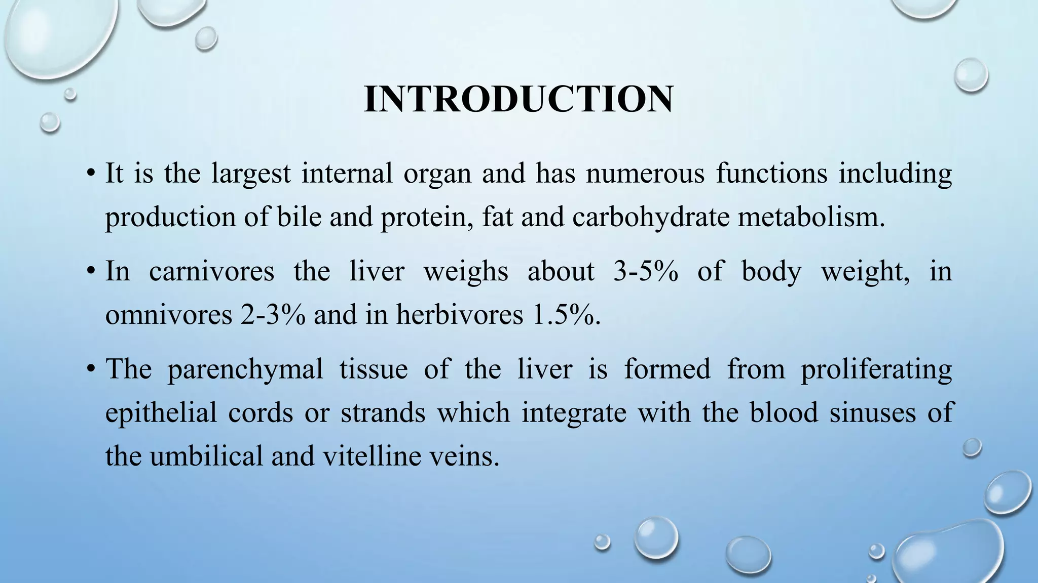 IMPORTANCE OF LIVER IN ANIMALS | PPTX