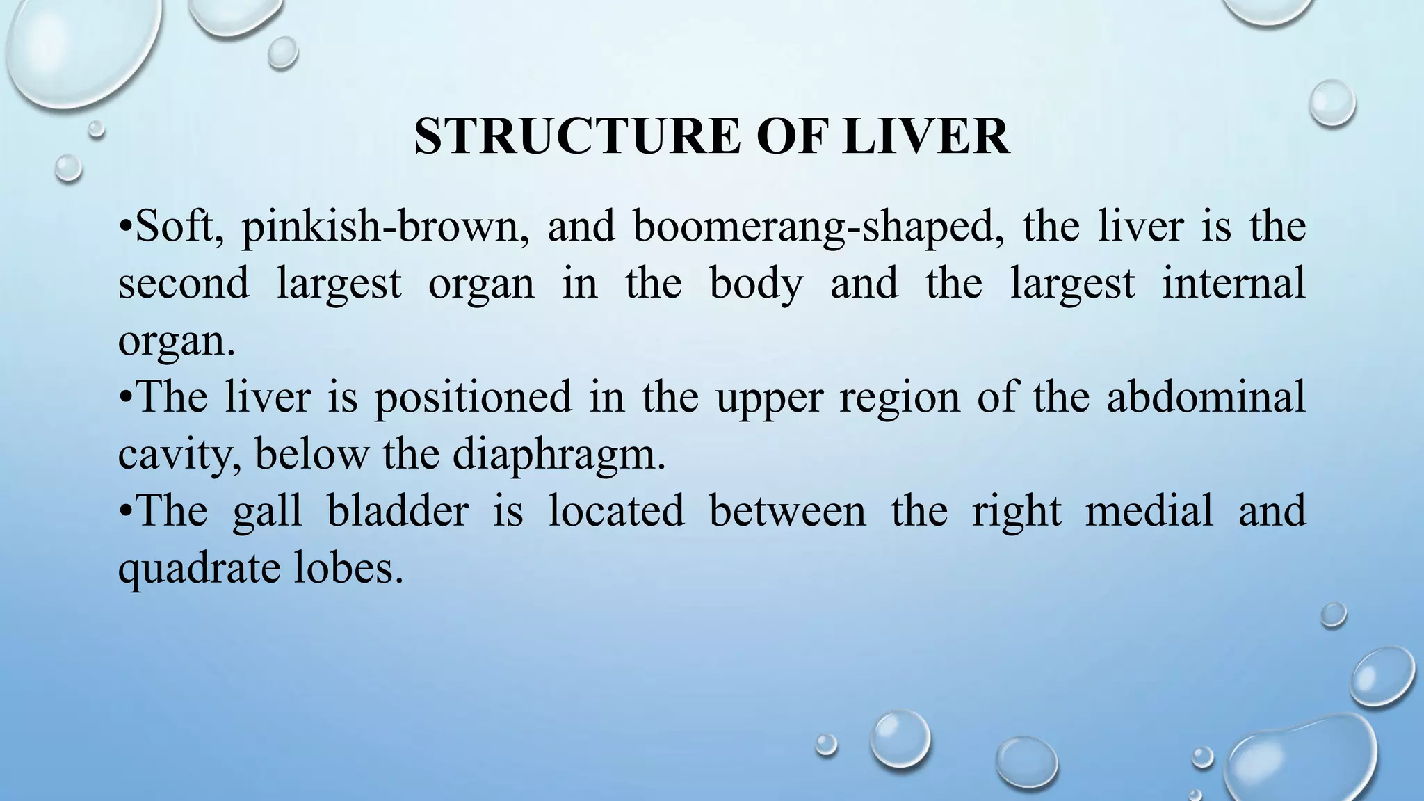 IMPORTANCE OF LIVER IN ANIMALS | PPTX