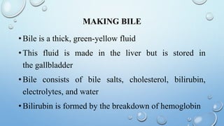 IMPORTANCE OF LIVER IN ANIMALS | PPTX | Digestive Disorders | Diseases ...