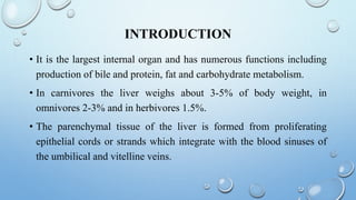 IMPORTANCE OF LIVER IN ANIMALS | PPTX | Digestive Disorders | Diseases ...