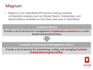 Who carries your container? Zun or Magnum? | PPTX