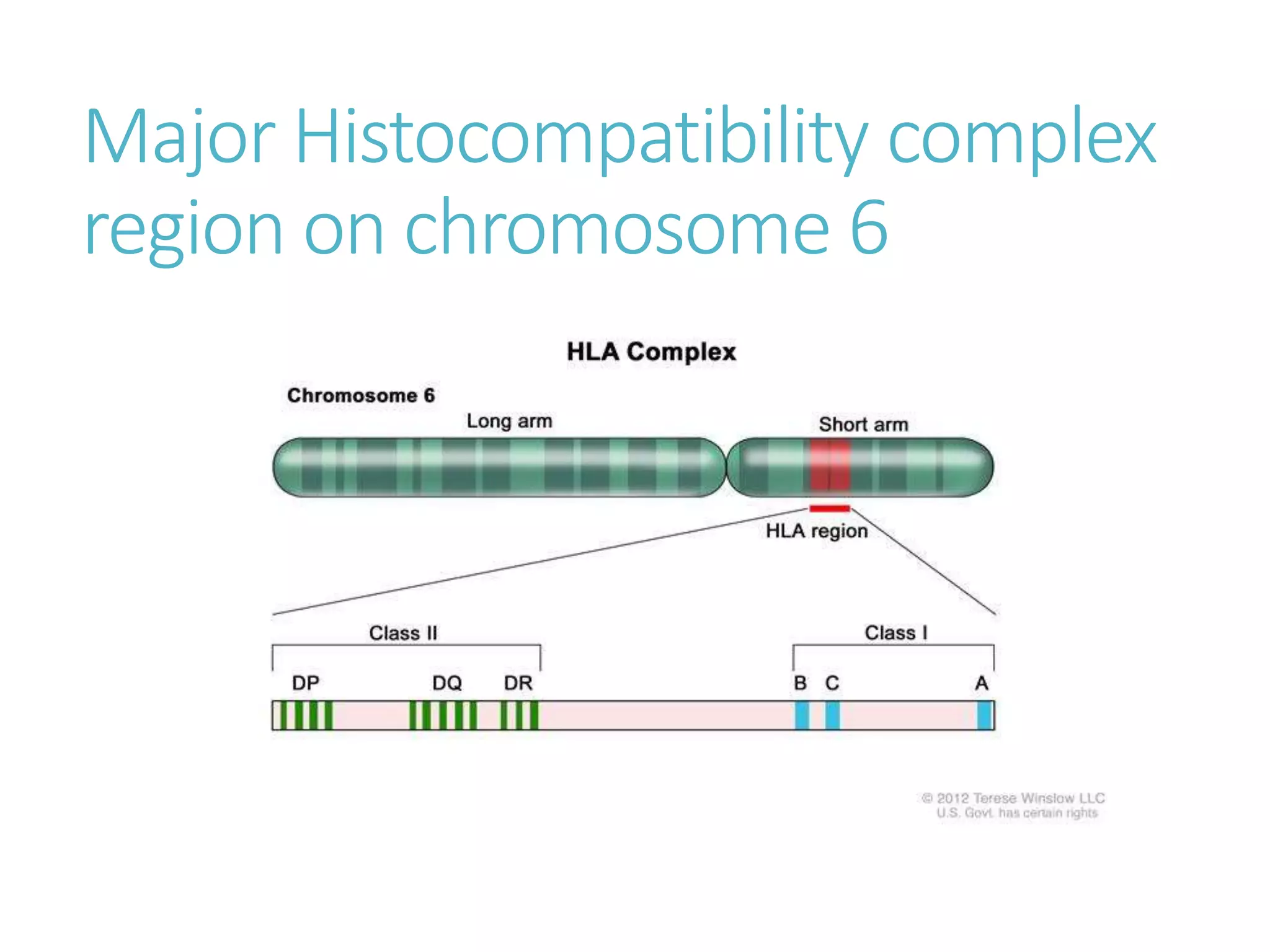hg19 (GRCh37) vs. hg38 (GRCh38) | PPTX