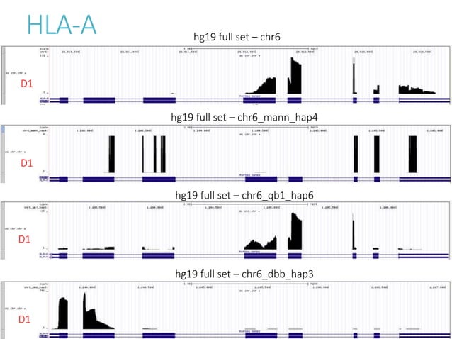 hg19 (GRCh37) vs. hg38 (GRCh38) | PPTX | Genetics | Science