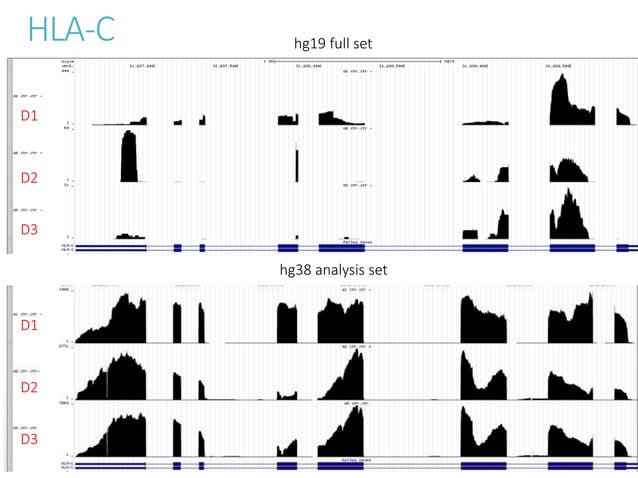 hg19 (GRCh37) vs. hg38 (GRCh38) | PPTX | Genetics | Science
